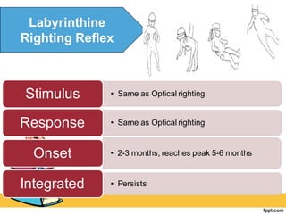 Primitive Reflexes.pdf