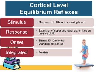 Primitive Reflexes.pdf