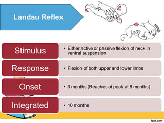 Primitive Reflexes.pdf