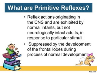 Primitive Reflexes.pdf