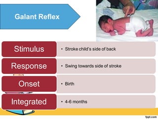 Primitive Reflexes.pdf
