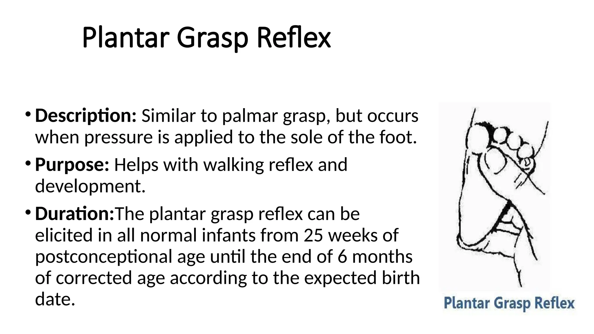 PRIMITIVE REFLEX GROUP 4_0201355891.pptx