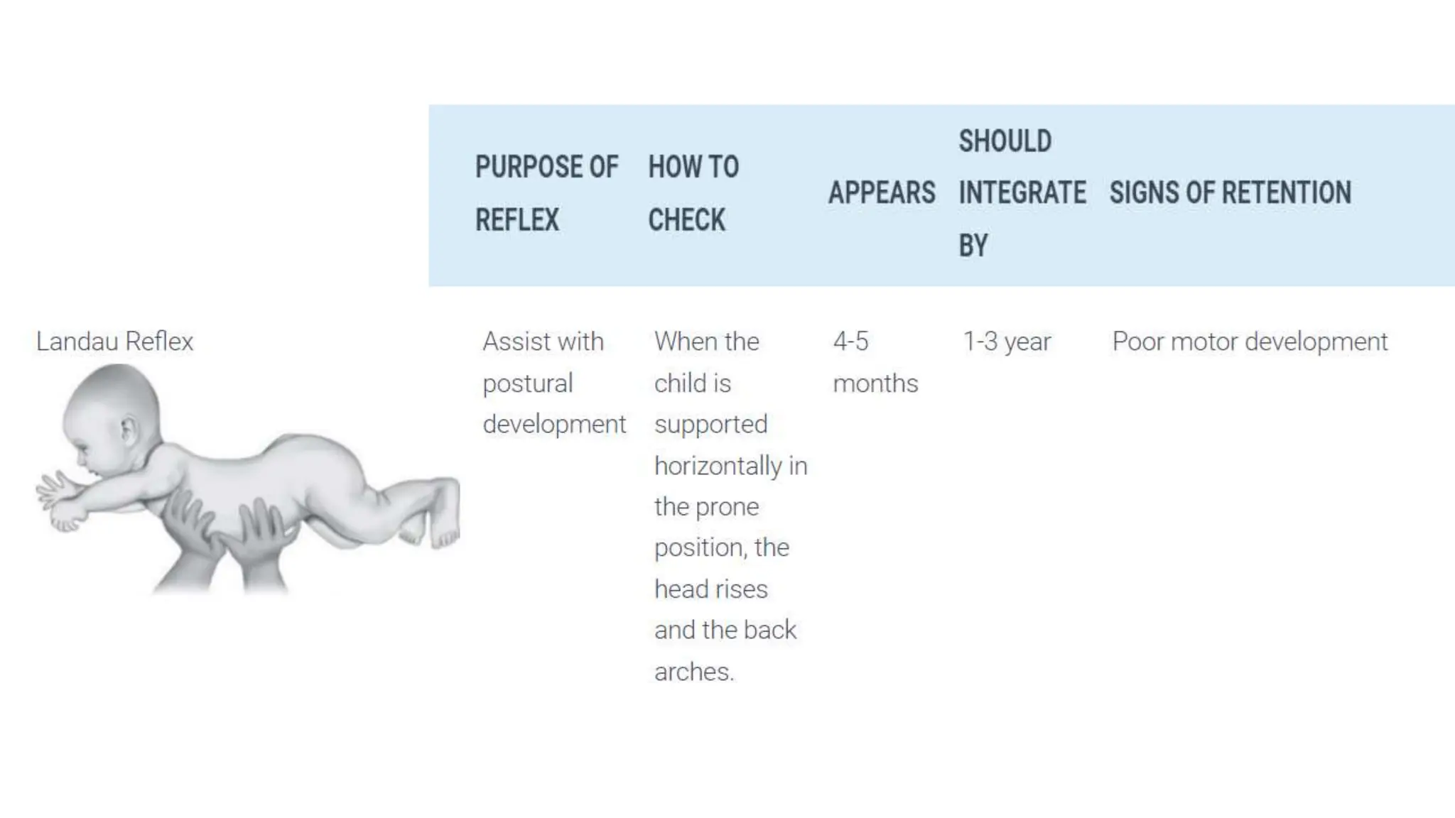 Primitive reflexes and therir pathway . pptxtx | PPTX