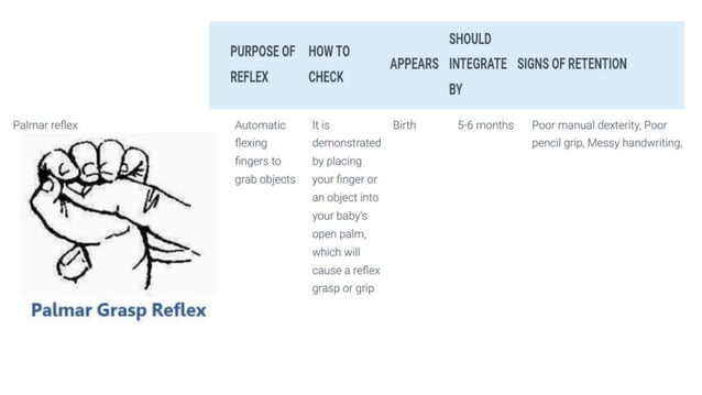 Primitive reflexes and therir pathway . pptxtx | PPTX
