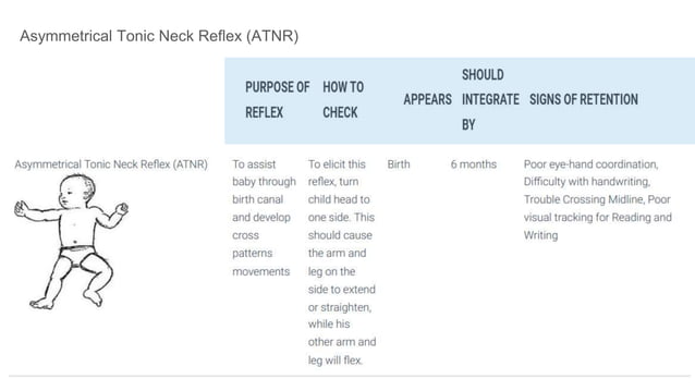 Primitive reflexes and therir pathway . pptxtx | PPTX