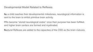 Primitive reflexes and therir pathway . pptxtx | PPTX