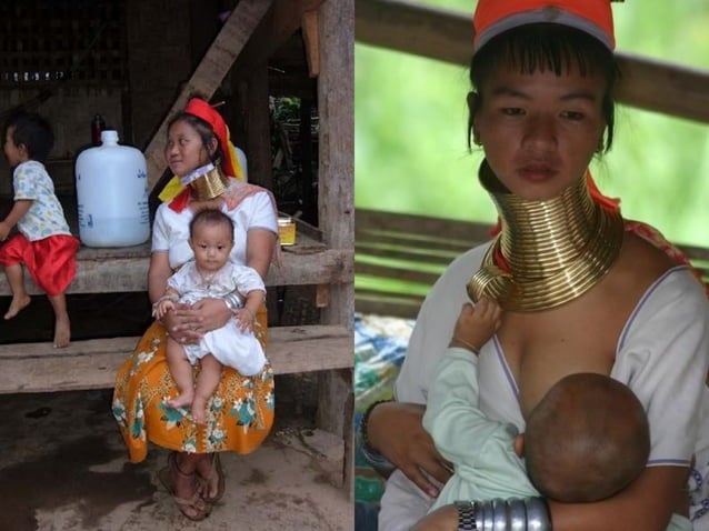 Primitive Tribes | PPS