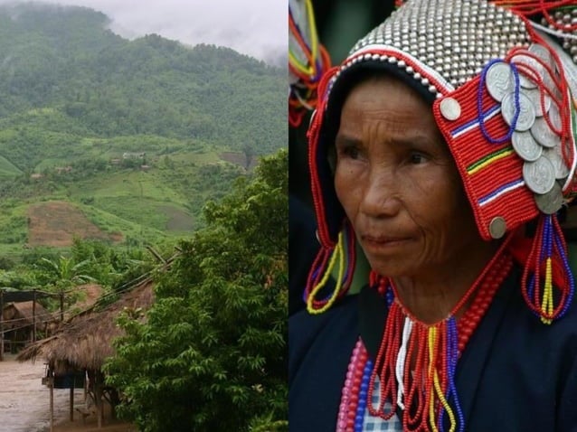 Primitive Tribes | PPS