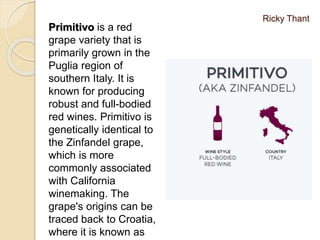 PRIMITIVO.pptx
