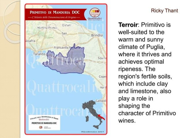 PRIMITIVO.pptx