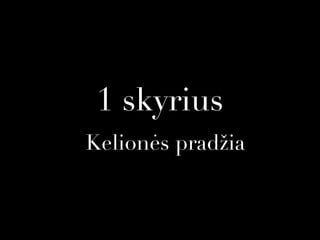 Primityvioji versija | PPT