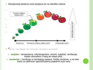 Primjena fiziologije biljaka u poljoprivredi i agronomiji | PPTX