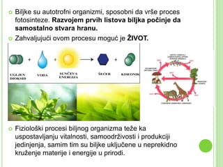 Primjena fiziologije biljaka u poljoprivredi i agronomiji | PPTX