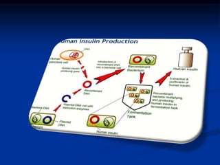 Primjena genetike | PPT