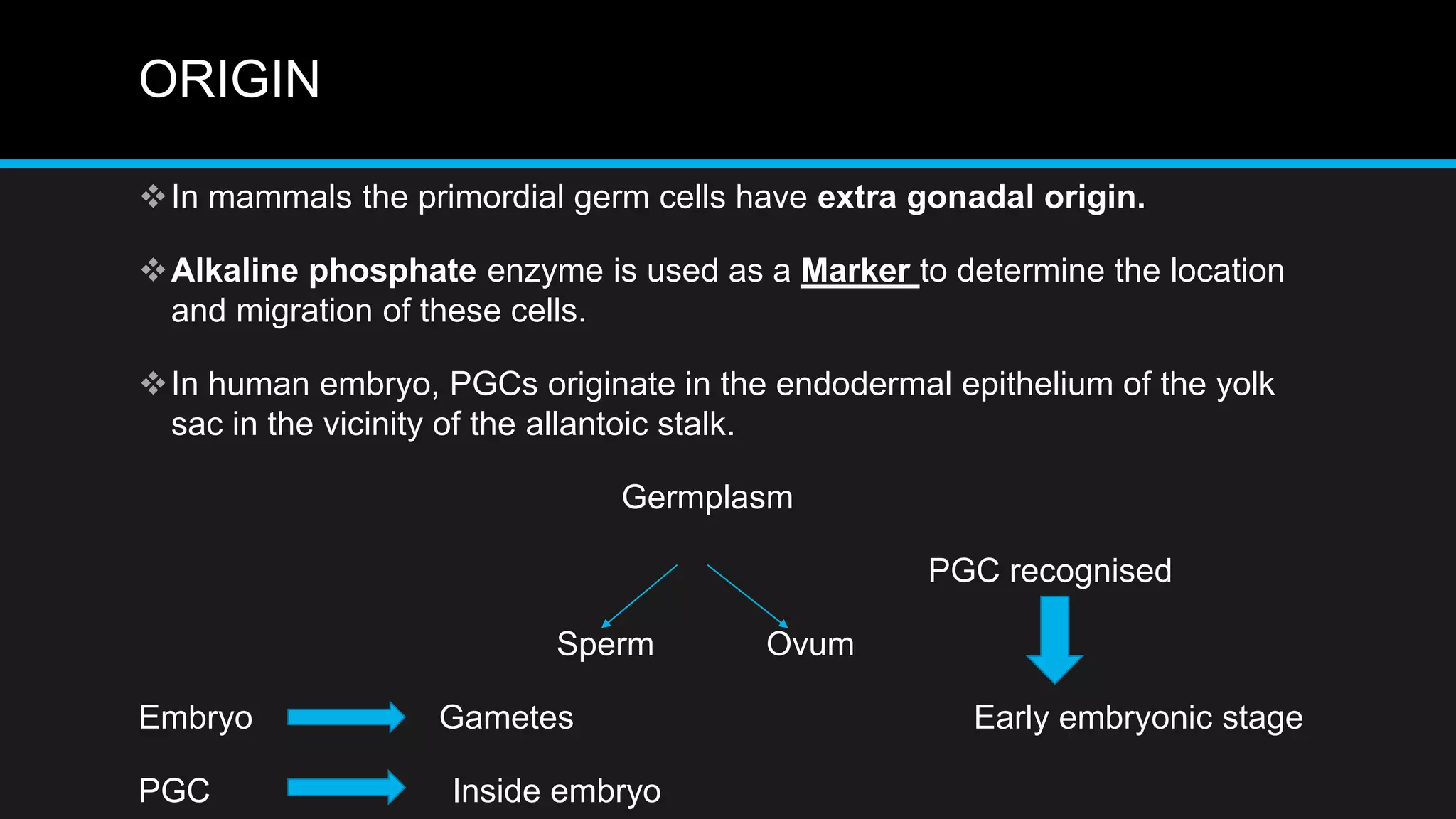Primordial germ cells | PPTX