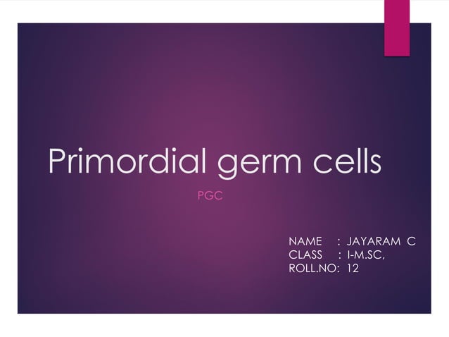 Primordial germ cells pdf | PPT
