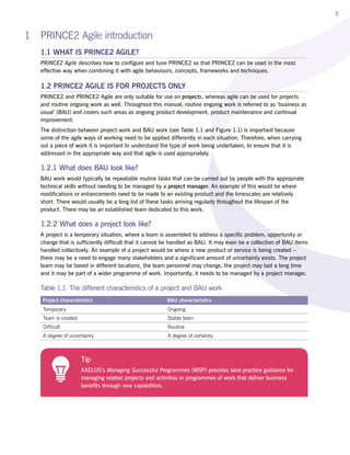 PRINCE2 Agile Guidance Preview | PDF