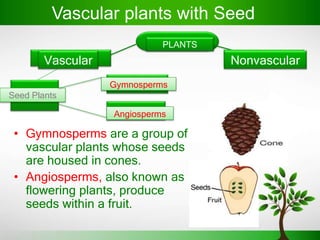 computer ppt by Shivanshi Dwivedi | PPT