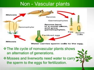 computer ppt by Shivanshi Dwivedi | PPTX
