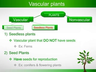 computer ppt by Shivanshi Dwivedi | PPTX