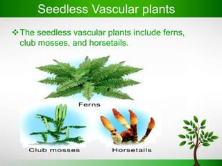 computer ppt by Shivanshi Dwivedi | PPT