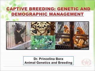 Captive Breeding: Genetic and Demographic Management | PPT
