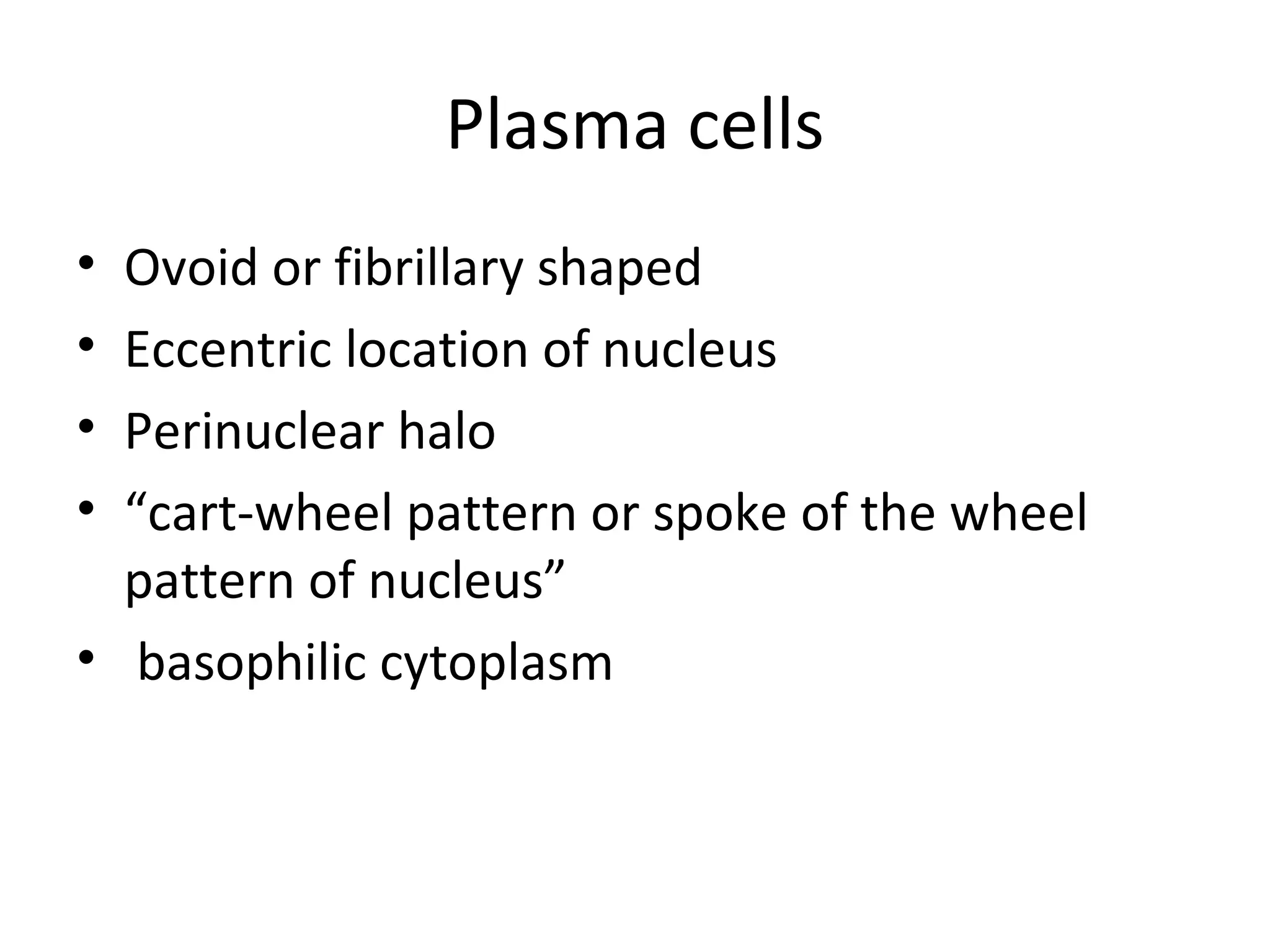 Morphology of white blood cells | PPT