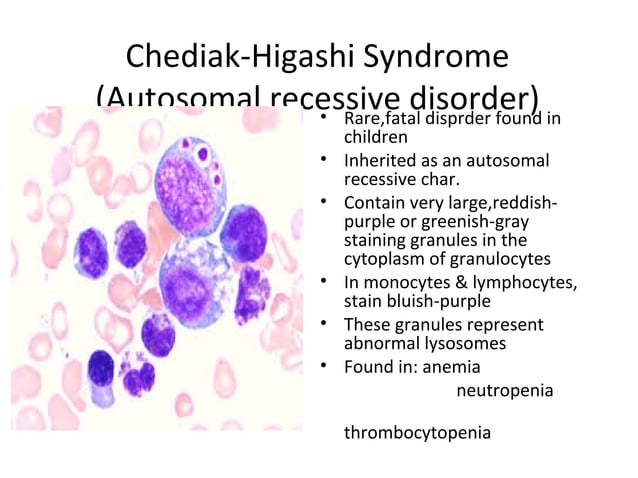 Morphology of white blood cells | PPT