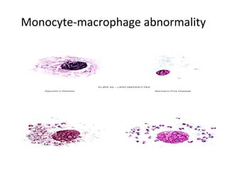 Morphology of white blood cells | PPT