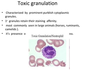 Cytoplasmic Granulation Toxic