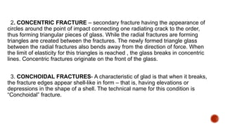 PRINCESS- FORENSIC.pptx