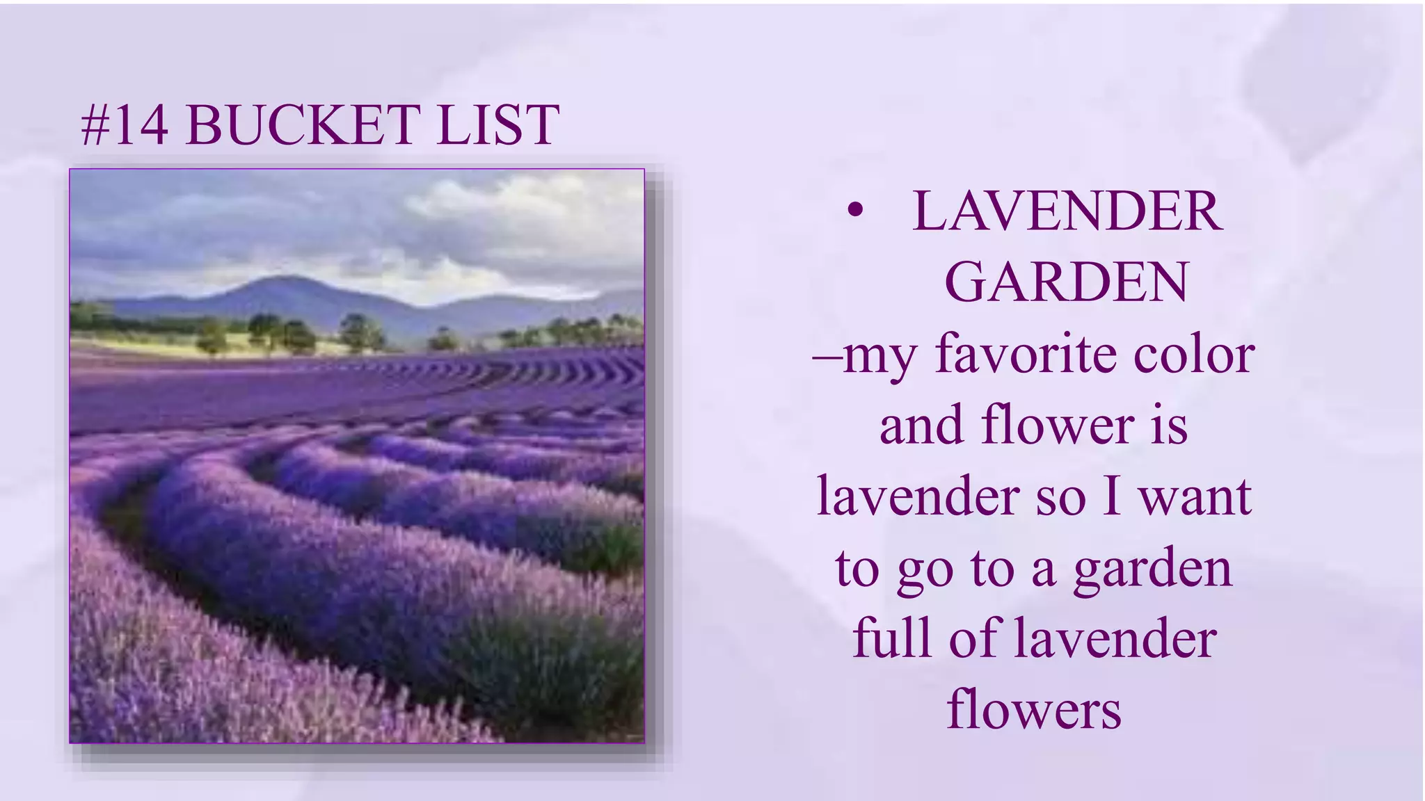 Princess-Leona-Tan-Patrona-ppt.pptx