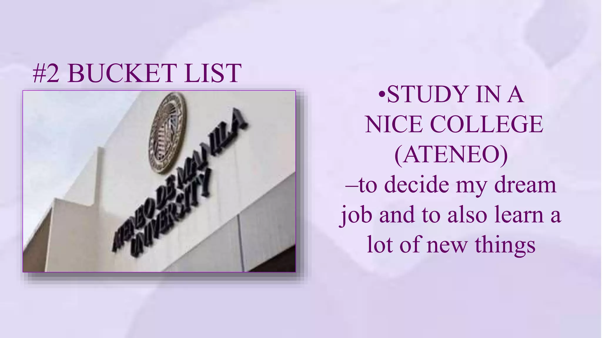 Princess-Leona-Tan-Patrona-ppt.pptx