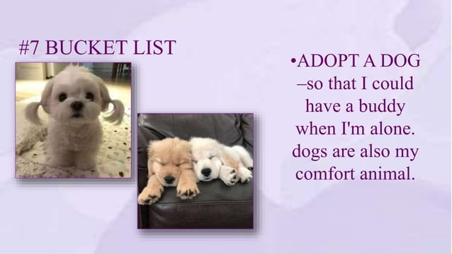 Princess-Leona-Tan-Patrona-ppt.pptx