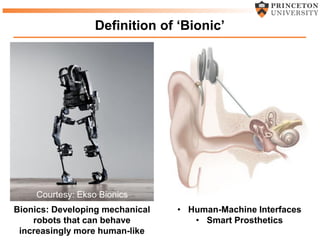 Bionic energy from ourselves | PPT
