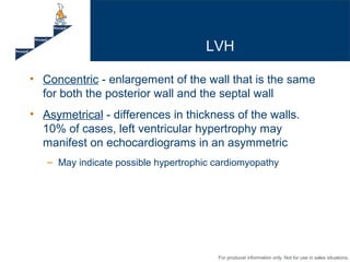 Principal basics of the echocardiogram diastolic dysfunction and left ...