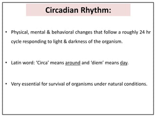 Principal circadian oscillators in mammals. | PPT