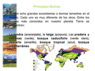 Biomas De La Tierra