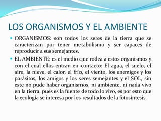 Principales conceptos de ecologia | PPTX