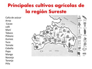 Principales cultivos agrícolas de la República Dominicana | PPTX