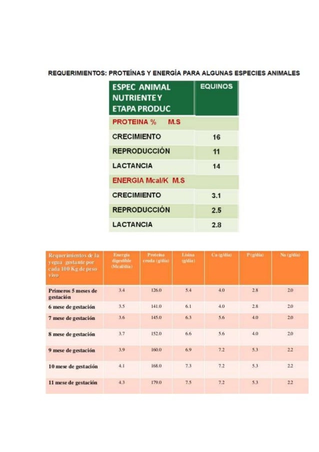 Principales nutrientes en la dieta de los caballos