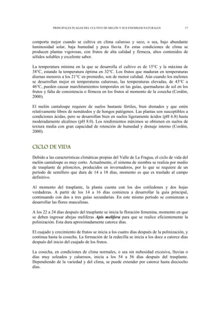 Principales plagas del cultivo de melon y sus enemigos naturales | PDF