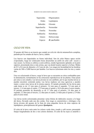 Principales plagas del cultivo de melon y sus enemigos naturales | PDF
