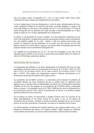 Principales plagas del cultivo de melon y sus enemigos naturales | PDF