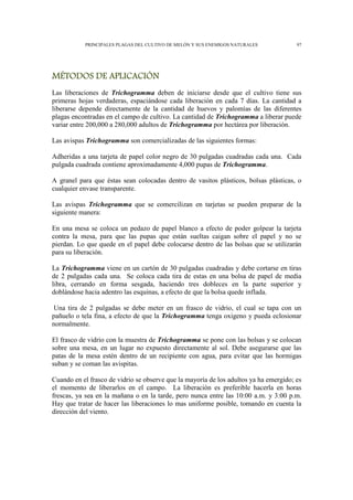 Principales plagas del cultivo de melon y sus enemigos naturales | PDF