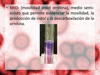 Principales pruebas bioquímicas para la identificación de bacterias | PPTX