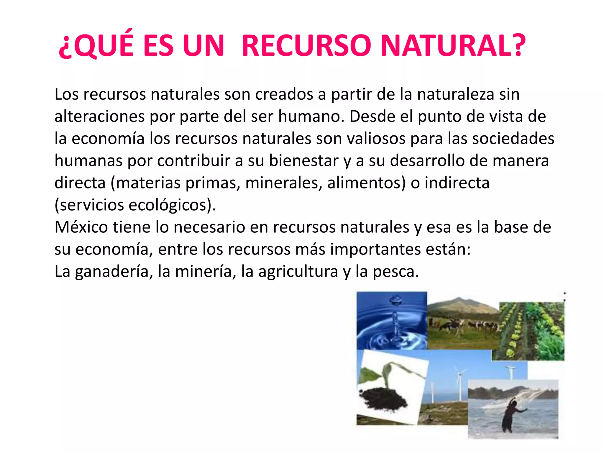 Principales recursos naturales de méxico | PPT