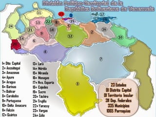 Principales regiones naturales de venezuela y relación con ...