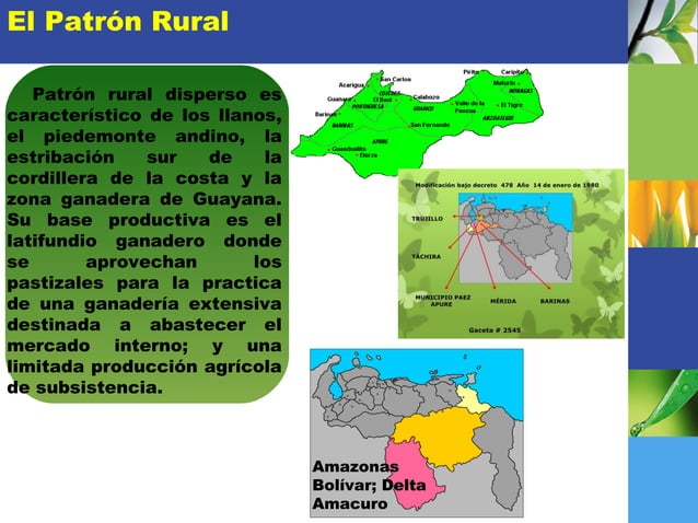 Principales regiones naturales de venezuela y relación con ...
