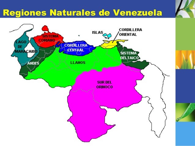 Principales regiones naturales de venezuela y relación con asentamie…